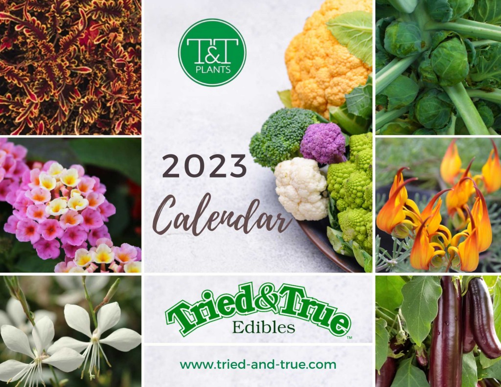 Tried & True Program | Meadowlands